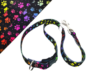Rainbow Pretty Paws Grooming Loop (with Buckle)